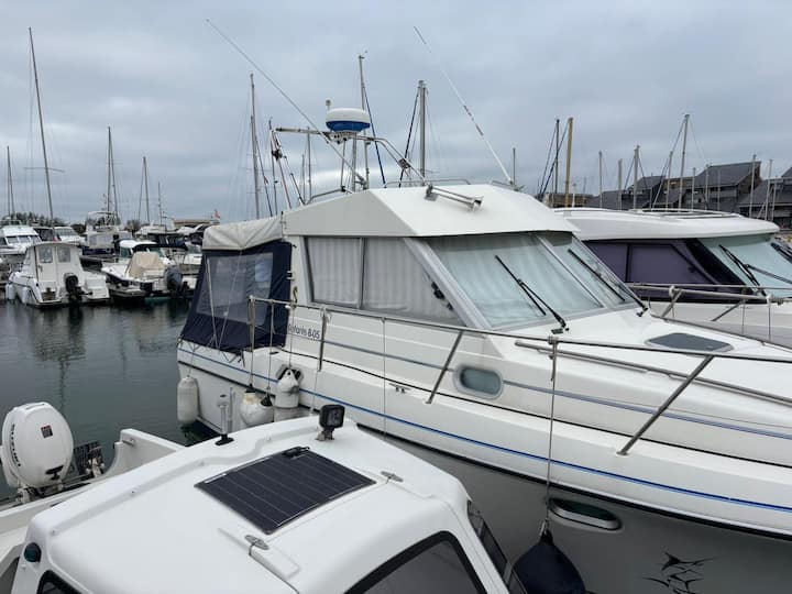 Un Doux Refuge à Quai - Deauville