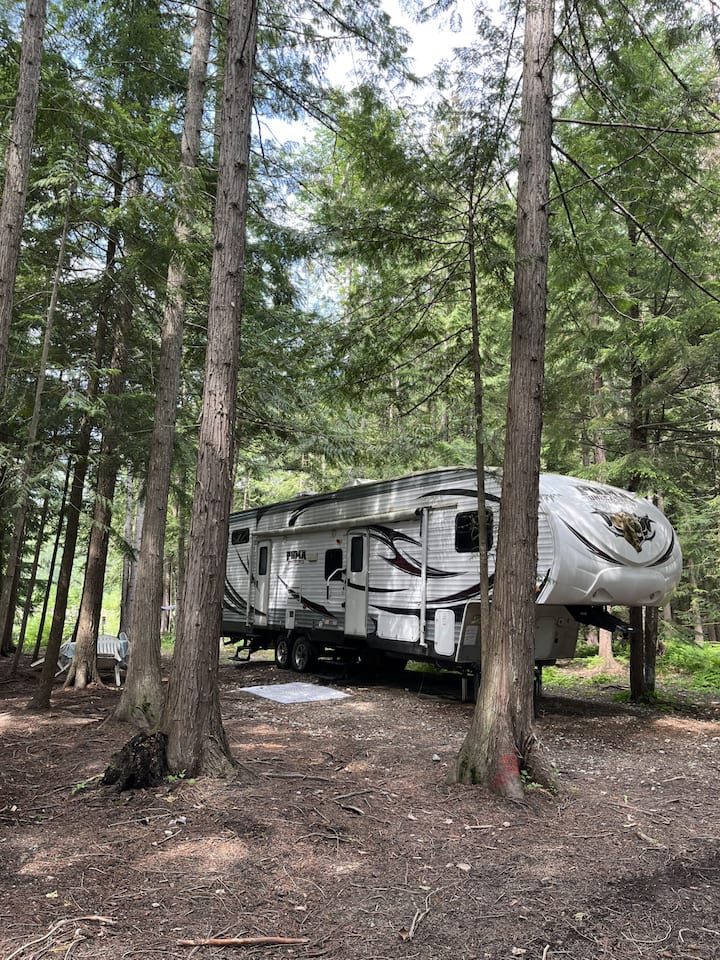 Riverfront Rv Nestled In The Forest - Sicamous
