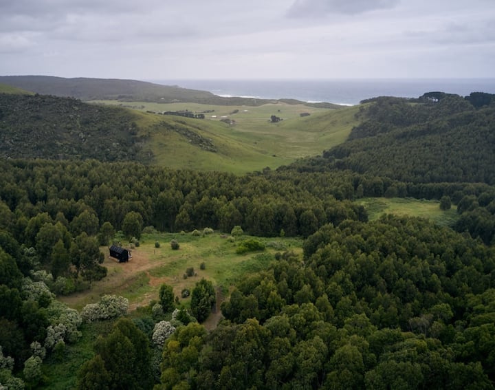 Secluded Ocean View Designer Off Grid Cabin - Johanna