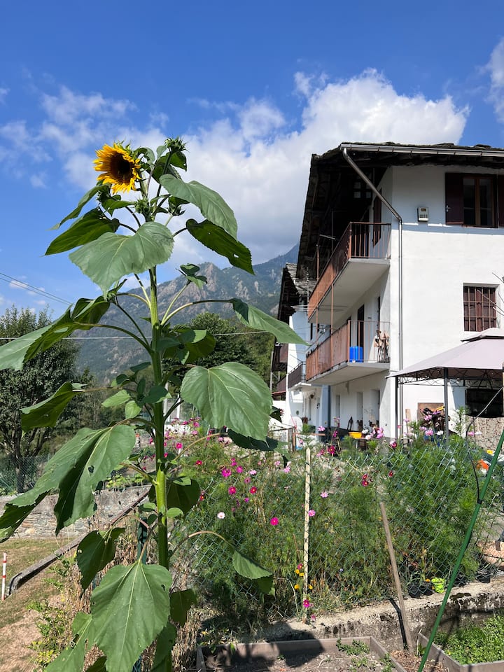 Casa Sul Fiume Nel Bosco - Ceresole Reale