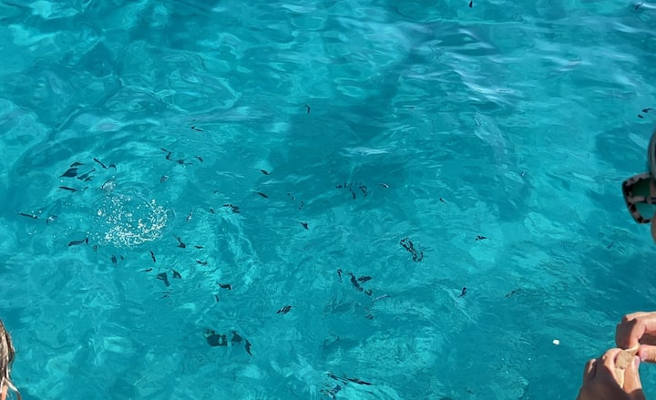 Appartamento Alla Maddalena - La Maddalena