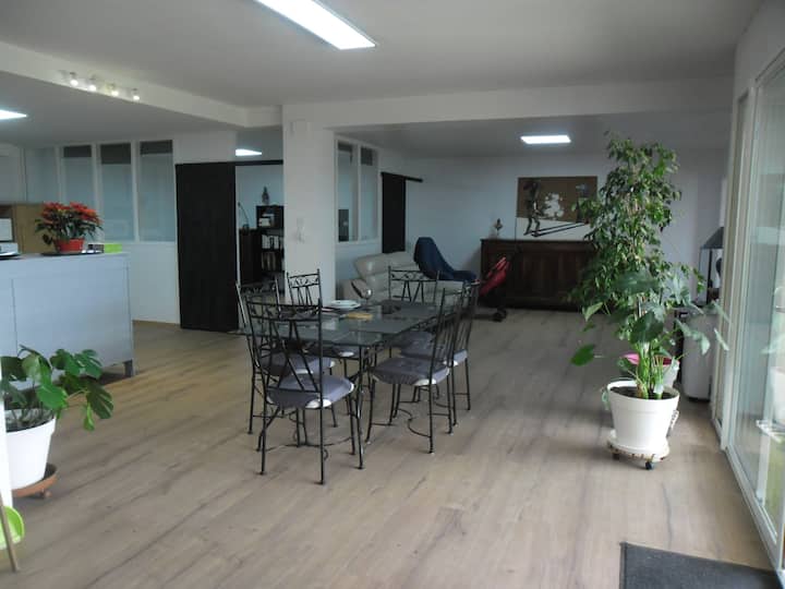 Appartement De 135 M2 - Condom