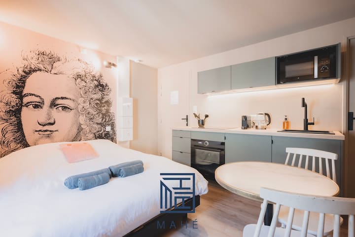 À 100 M De La Place Stanislas - Suite Stanislas - Nancy