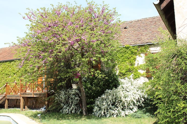 Petit Gîte De Charme à Beaune - Beaune