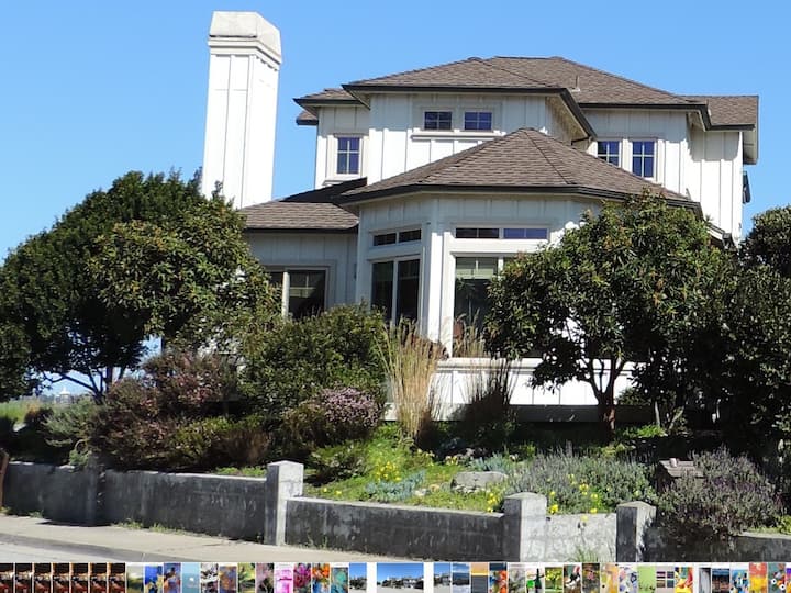 An Artist's Interpretation - Monterey, CA