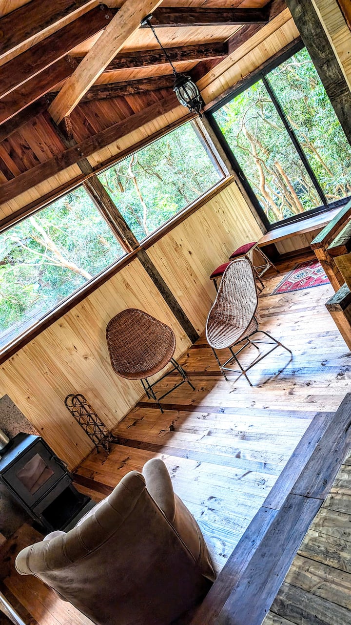 Cabaña Nilahue - Lago Ranco