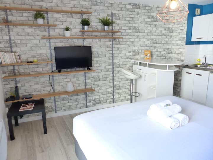 3 Rois - Joli Studio 2 Pers, Place De Parking - ibis Nantes Centre Gare Sud