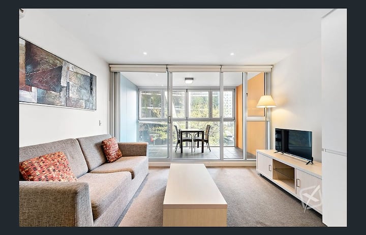 Koala Nest In Central Adelaide - Adelaide