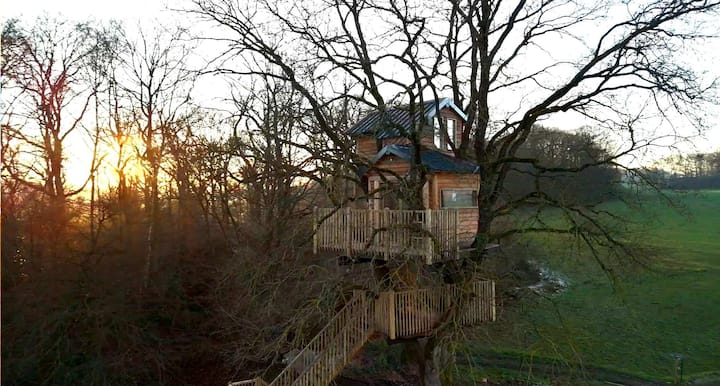 La Cabane Du Chêne - Namur