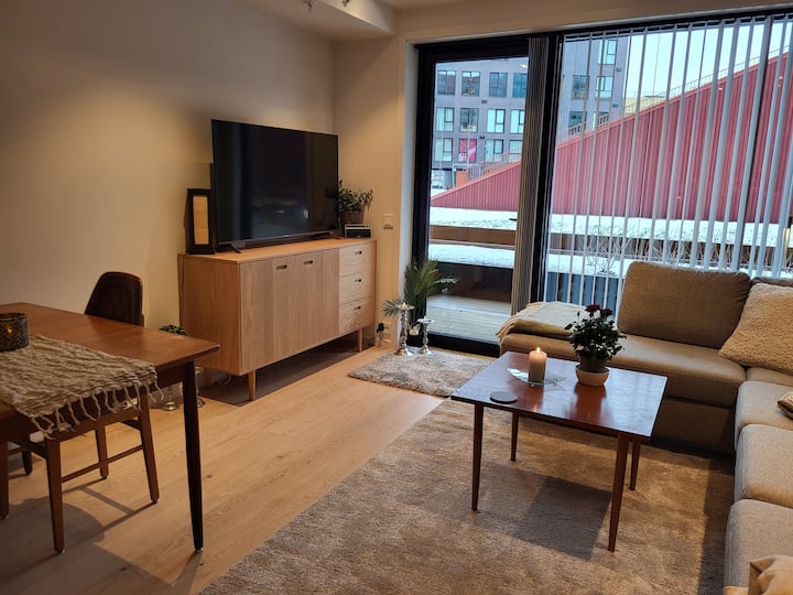 Sentral Leilighet, Hund Tillatt. Gratis Parkering. - Tromsø