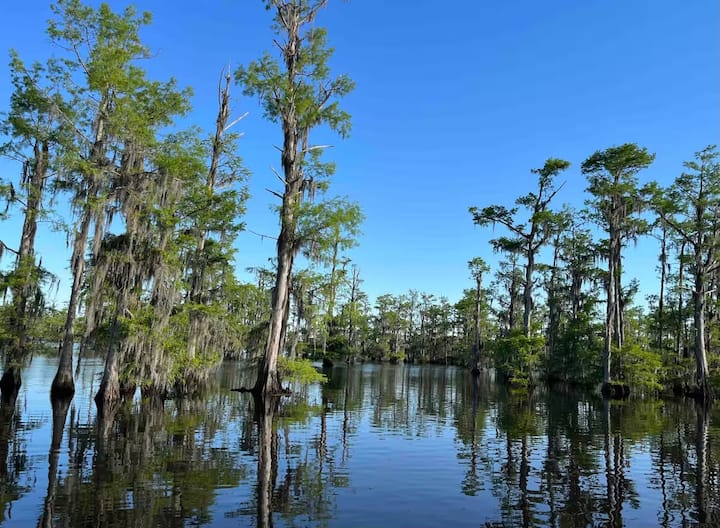 Iatt Lake Rv Site - Pelican - Nantachie Lake, LA