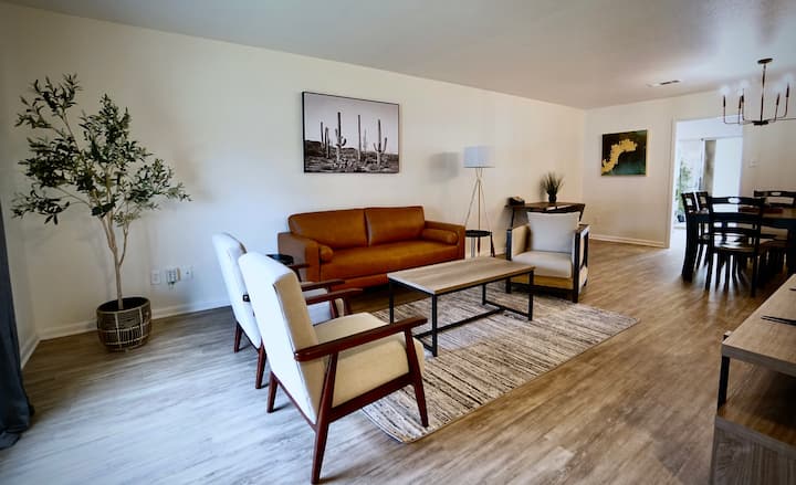 Luxury Mid-century Modern - Beaumont, TX