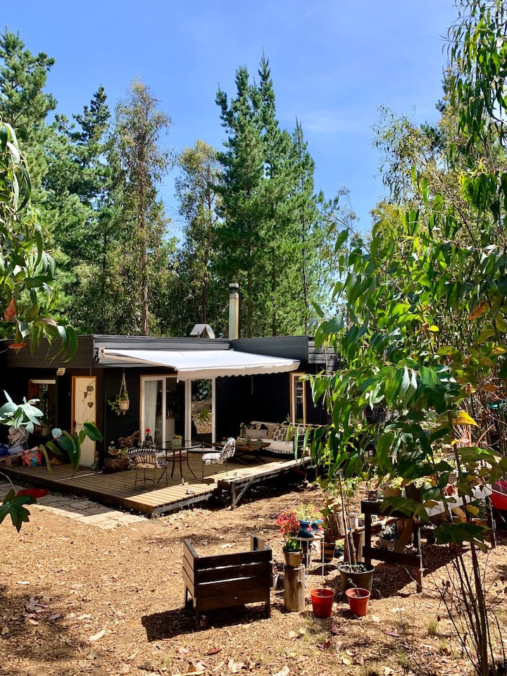 Cabaña En El Bosque. Isla Negra - El Tabo