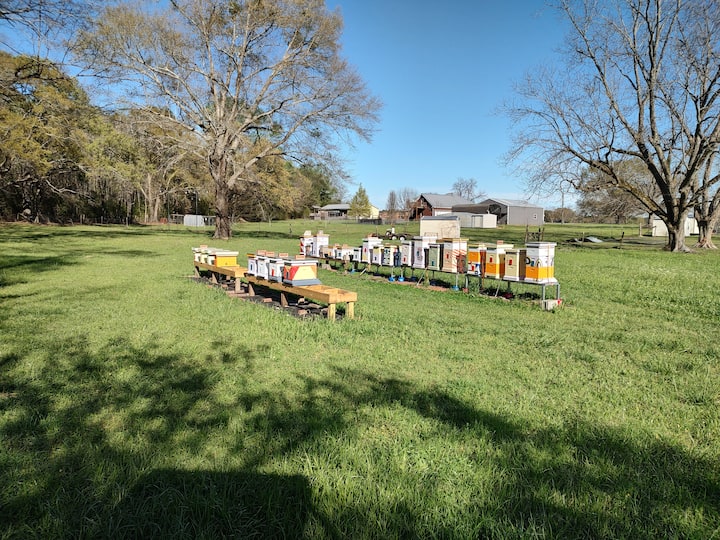 Honey Bee Cottage - Lake Martin, AL
