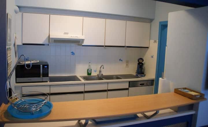 Koksijde Viking-appartement 3 Slpkamers - Koksijde