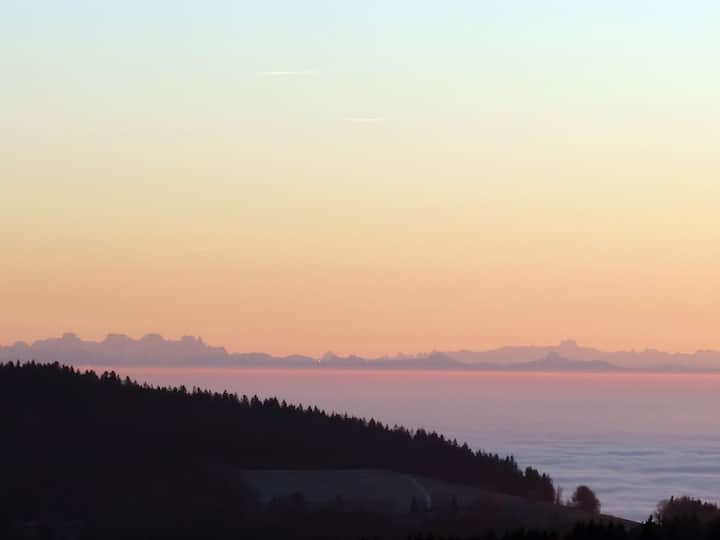 Traumaussicht Aus Glashütt - Neukirchen