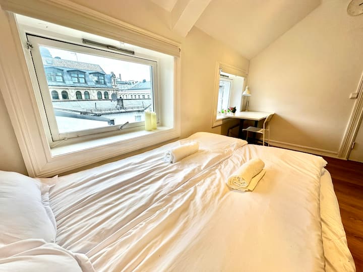 Fantastic Location By Oslo S & Karl Johan - Oslo