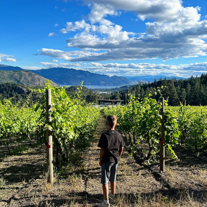 The Outside Inn At Niche Wine Co | Cabin No. 2 - Kelowna