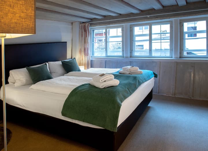 Altbau Trifft Moderne | Beste Insellage - Lindau