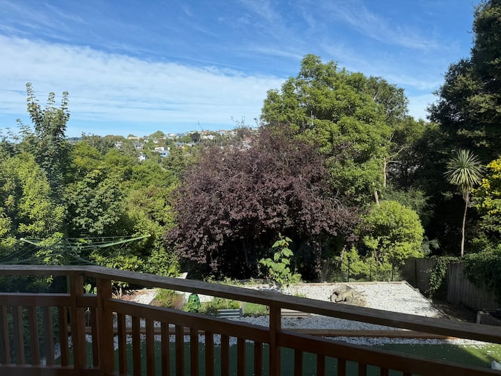Room W. Double Bed In Mornington - Dunedin