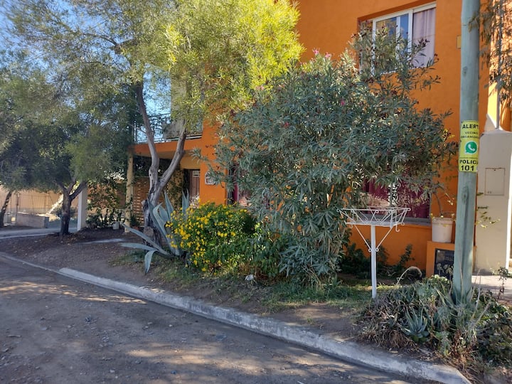 Oasis Pa Clau - Departamentos - San Antonio Oeste