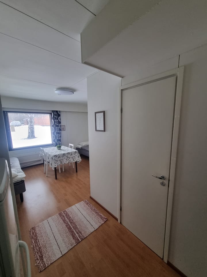 Double Room In Big Zander Lakehouse - Savonlinna