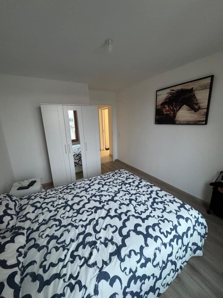 Spacious 2br Flat - Perfect Stay - Geneva