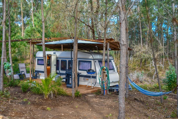 Caravan Baleia - Pombal