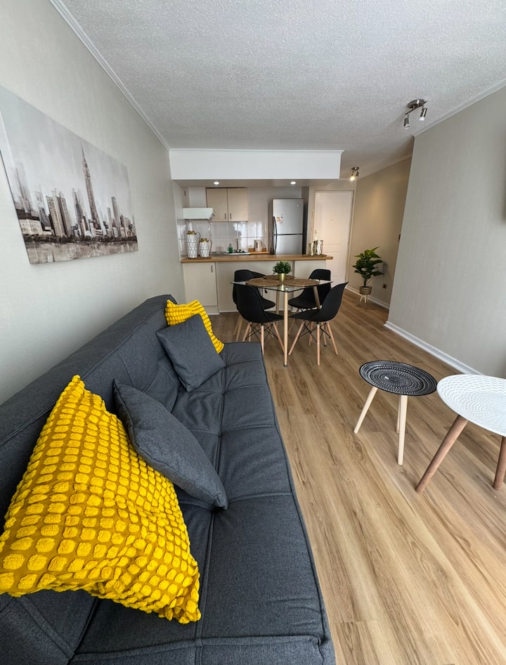 Amplio-pasos Metro Free Parking-santiago Centro - Santiago (Chile)