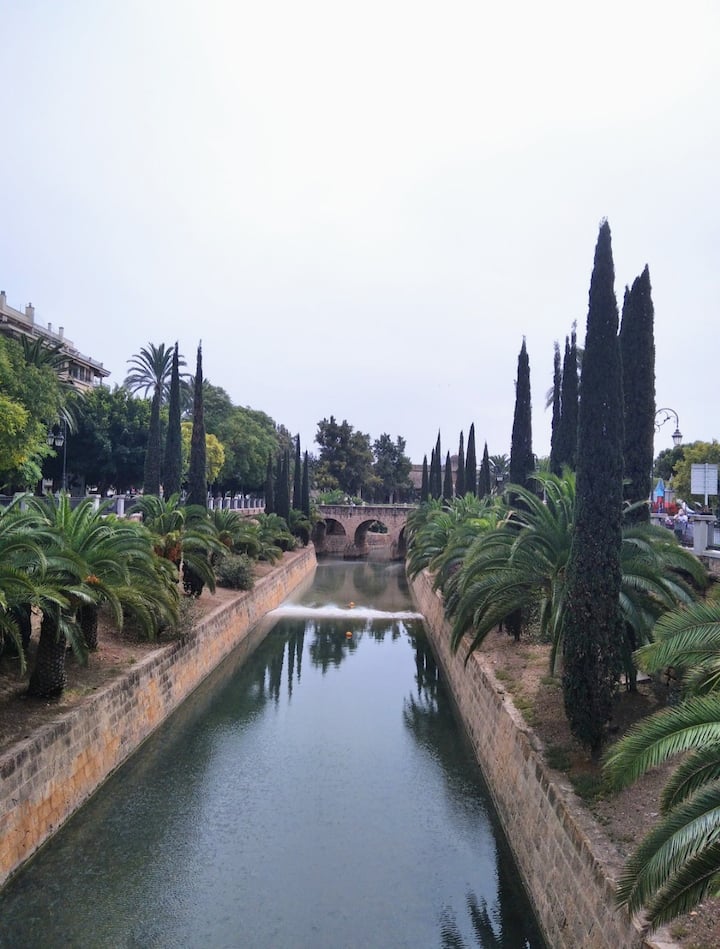Habitación En El Centro De Palma - Palma