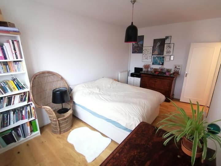 3 Pièces - Gare/centre Ville - 勒芒