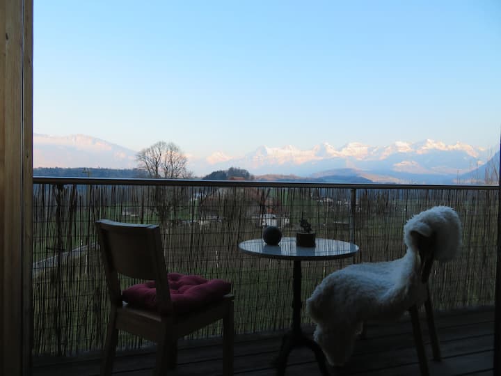 Dachwohnung Zum Wohlfühlen - Thun
