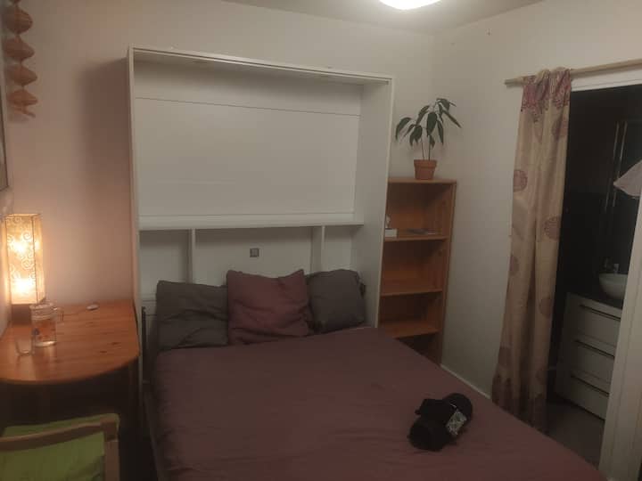 Chambre à Louer - 1 Km Du Rer B - Massy