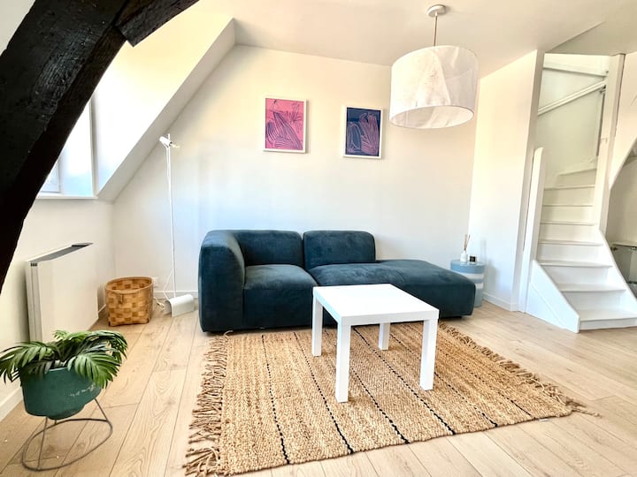 Appartement 2chambres Vieuxlille - Lila