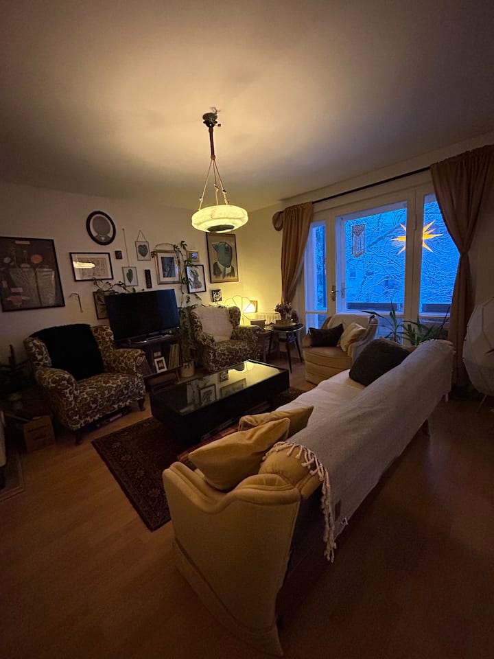 Cozy Vintage Apartment - Dresde