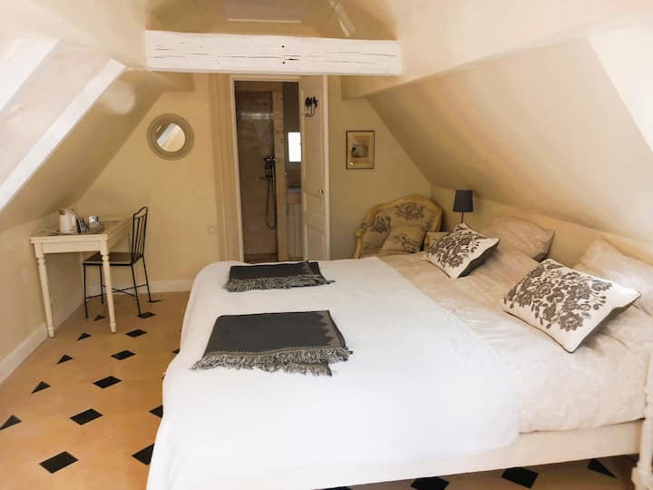 Chambre D'hôtes Avec Piscine En Bordure De Forêt - Sully-sur-Loire