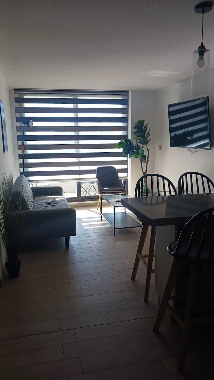 Hermoso Depto Con Vista Al Mar - Concón