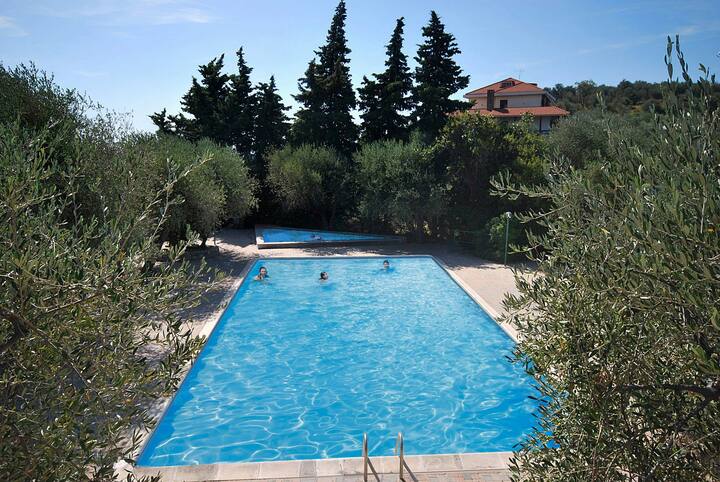 Alloggio Olives & Pool - Imperia - Imperia