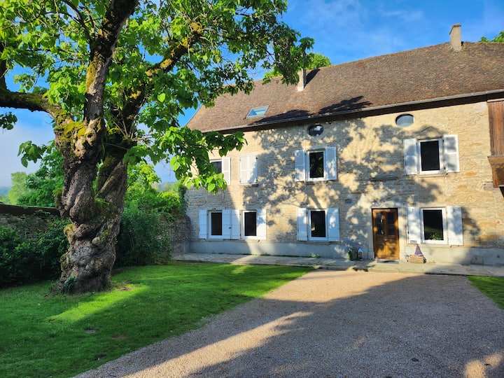 Superbe Maison En Pierre - Ambérieu-en-Bugey
