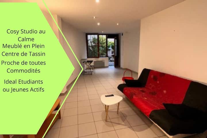 *A Saisir Cosy Studio@ Tassin Horloge 2p - Tassin-la-Demi-Lune