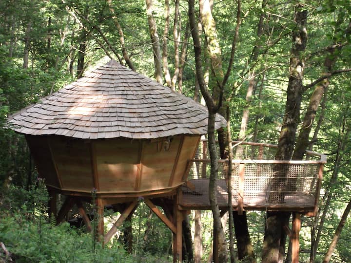 Cabane Le Petit Toit Du Monde - Alsace - Schirmeck