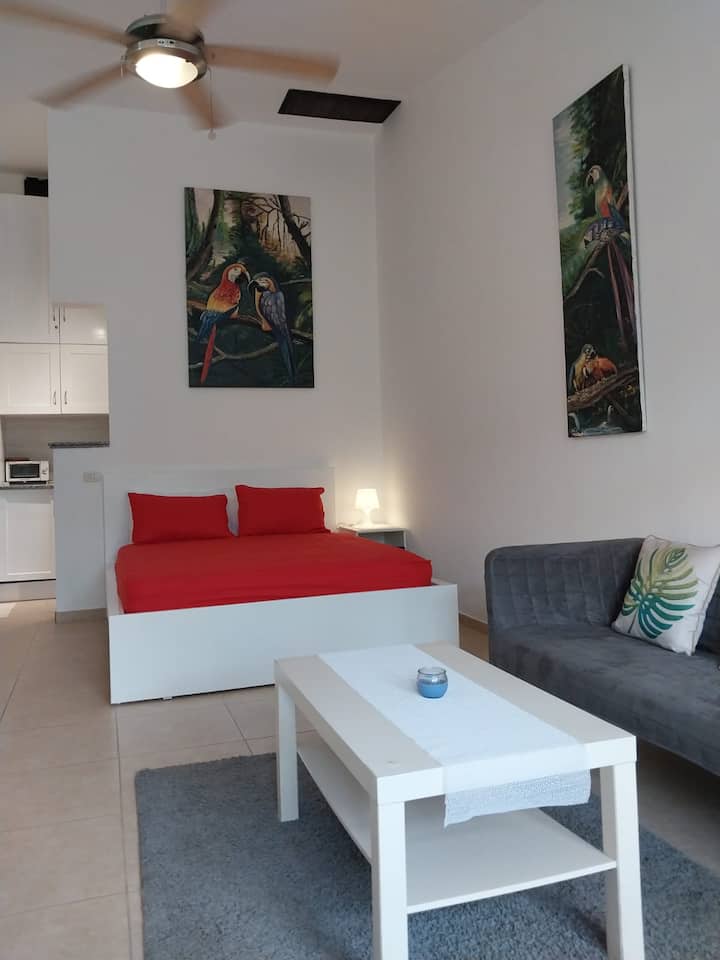 Awesome Studio At Las Almendras - Cabarete