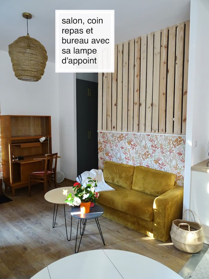 T1 Bis Neuf 5mn Centre Pkg Gratuit 5mn - Pau