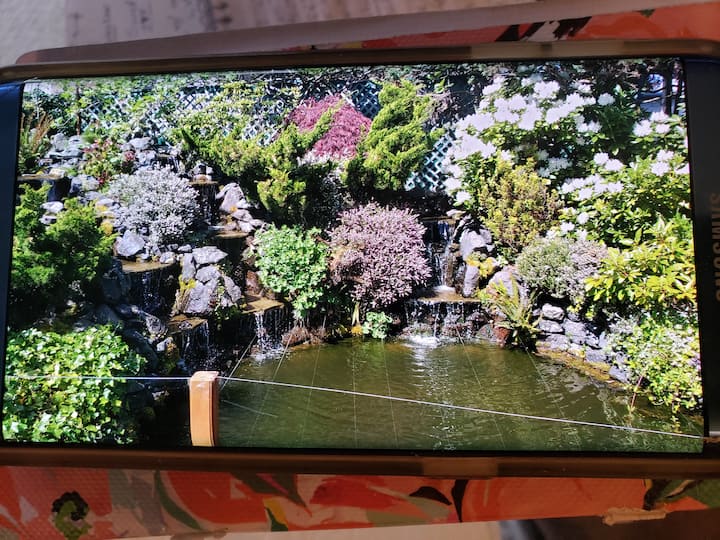 The Secret Garden Apartment - Port Angeles, Washington