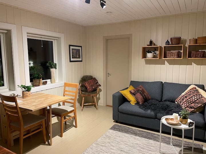 Leilighet I Rolig Strøk På Lade - Trondheim