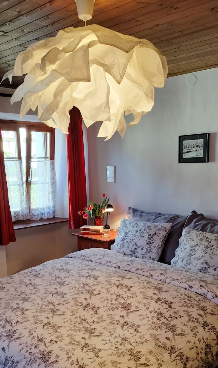 Rustico Con Spazio Esterno, La Pepina - Bellinzona