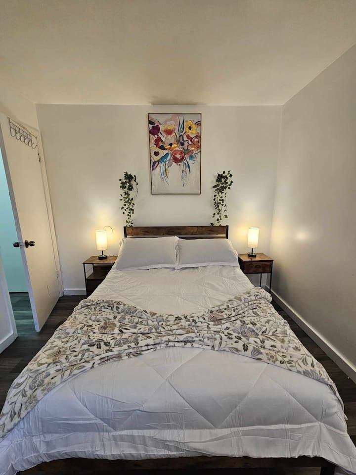 Capital Comfort Stay - Albany, NY
