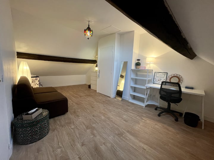 Chambre Centre Calme Sdd/wc Dans Maison De Famille - Lille, France
