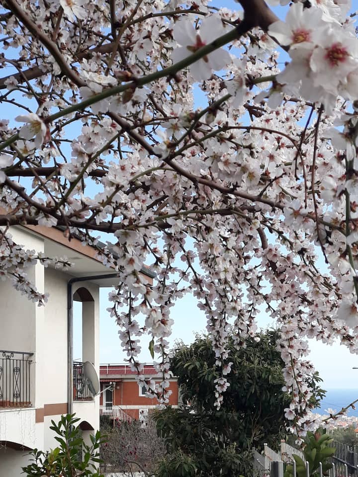 Tranquillità E Natura A Pochi Passi Dal Mare - Albenga