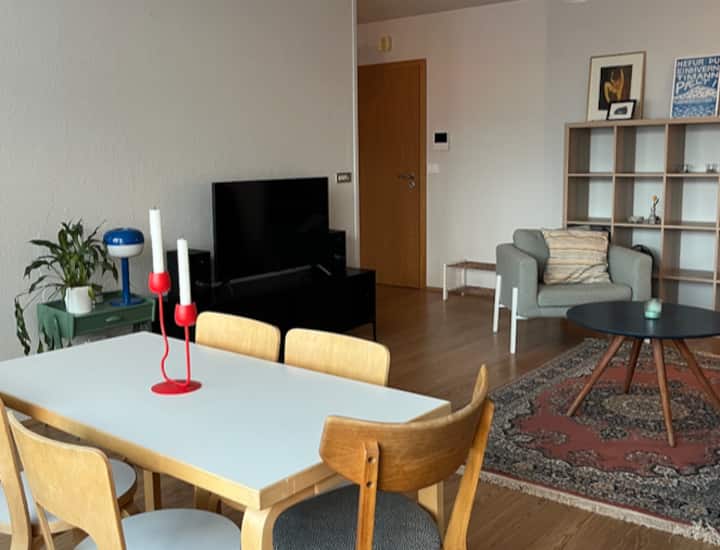 Cozy Apartment In Reykjavík - Reykjavik